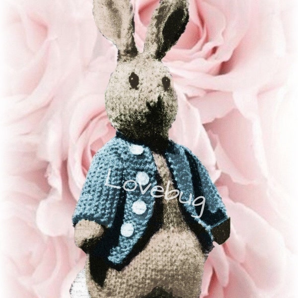 Peter Rabbit Pattern - Etsy