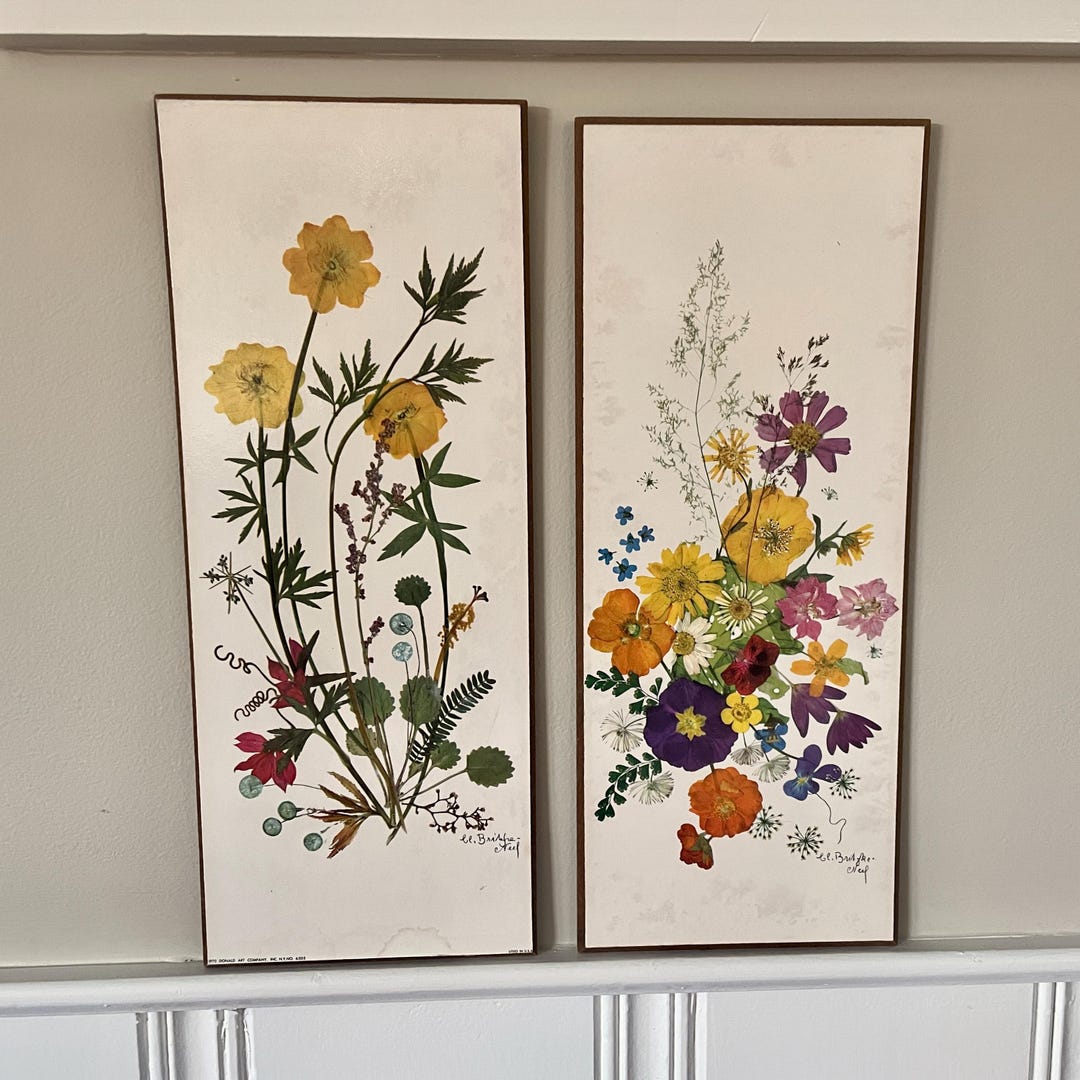 1970s DONALD ART CO Lithographs . Pressed Wildflower Artwork . Set of 2 ...