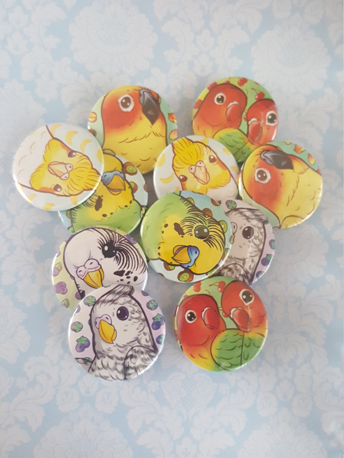 1.5 inch Bird buttons Parakeet Cockatiel Sun Conure and | Etsy