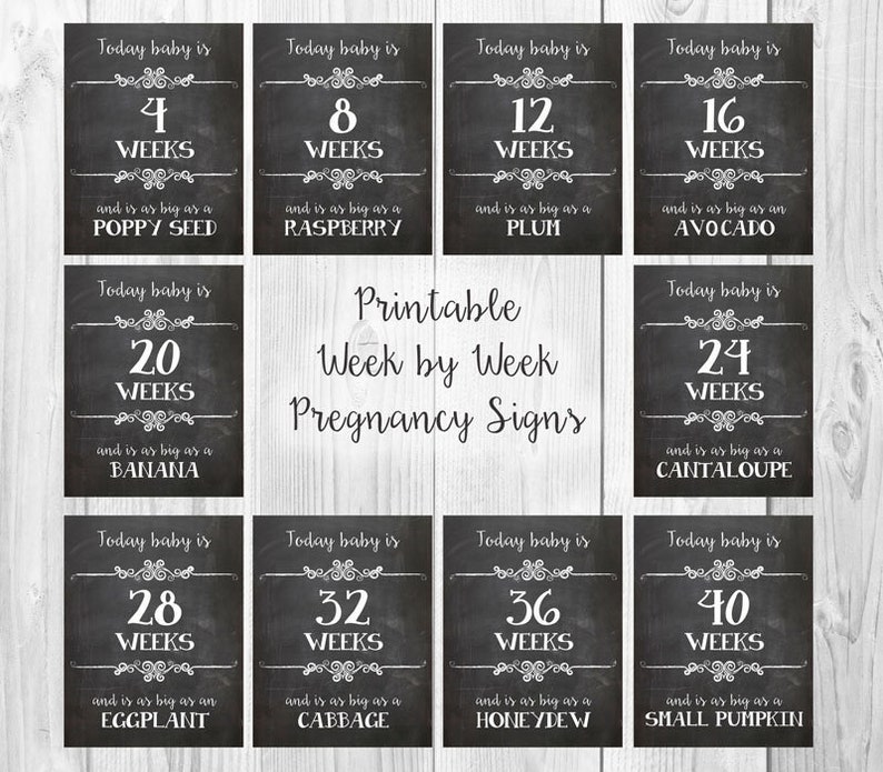 Every 4 Weeks Pregnancy Signs 10 Printable Sings INSTANT DIGITAL ...