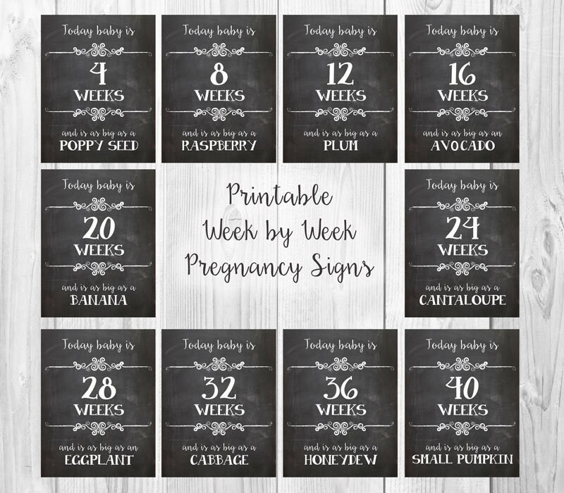 Every 4 Weeks Pregnancy Signs 10 Printable Sings INSTANT DIGITAL ...