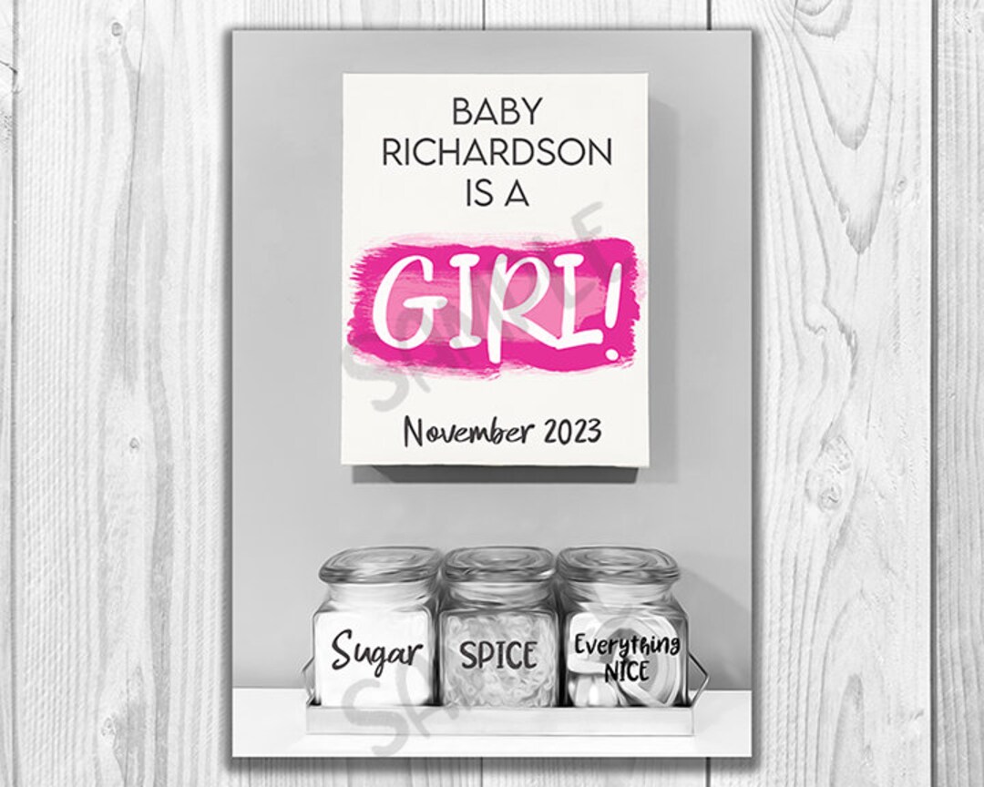 It's a Girl! Gender Reveal | Sugar and Spice and Everything Nice ...