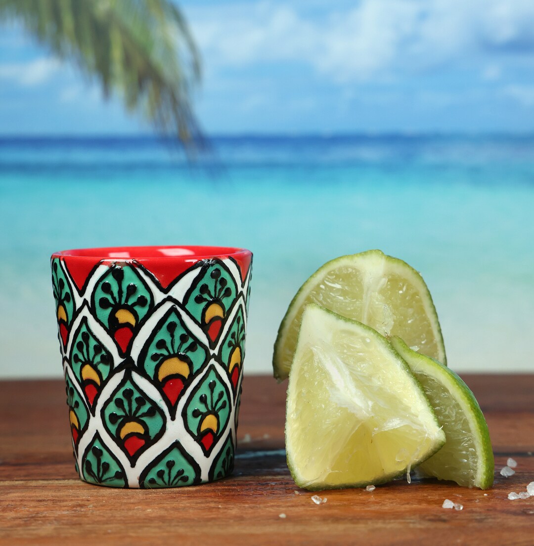 Hand-painted Talavera Shot Glass, Mexican Barware - Etsy
