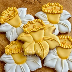 One Dozen Daffodil Cookies - Etsy