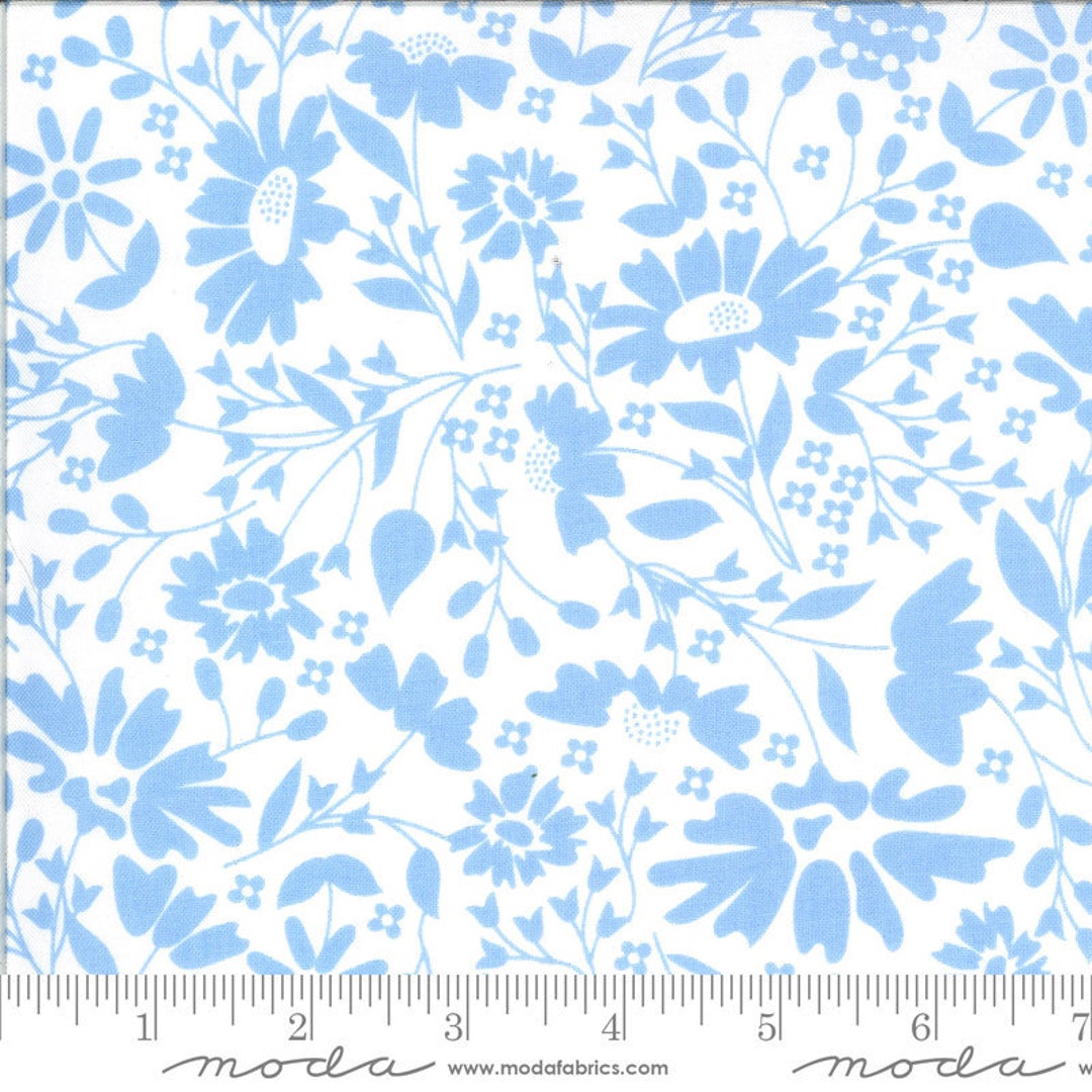 Spring Brook par Corey Yoder pour Moda Fabrics 29114-18 - Etsy France