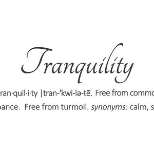 Tranquility Definition - Vinyl Wall Decal - Wall Stickers - Wall Quote ...