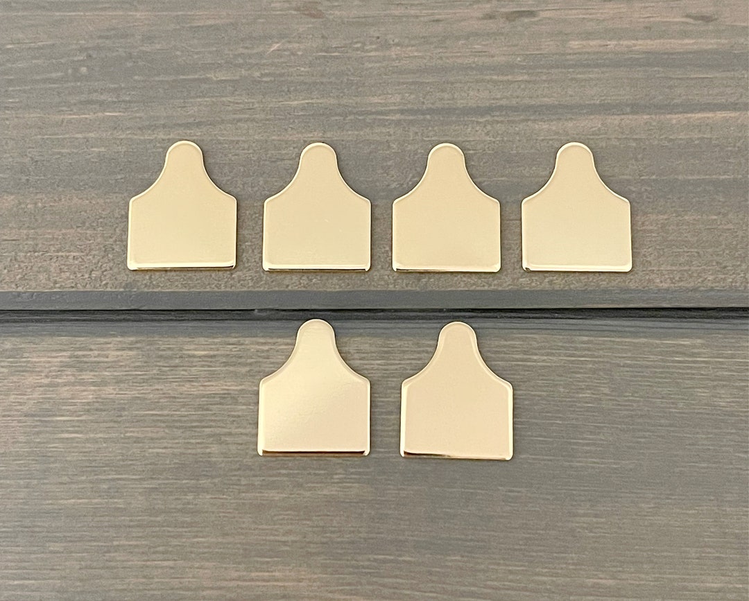 TEN - Tiny Small Cattle Tag Stamping Blanks - 1/2" X 5/8" Ear Tag Blank ...