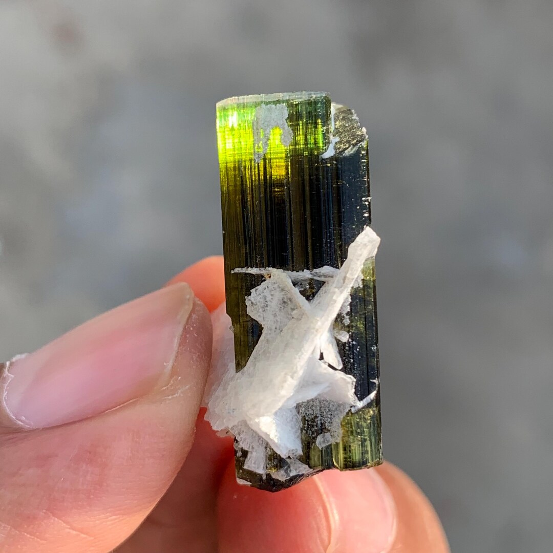 Beautiful Black Tourmaline, Green Cap Natural Crystal Specimen, 5.8 ...