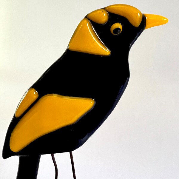 Bowerbird - Etsy Australia