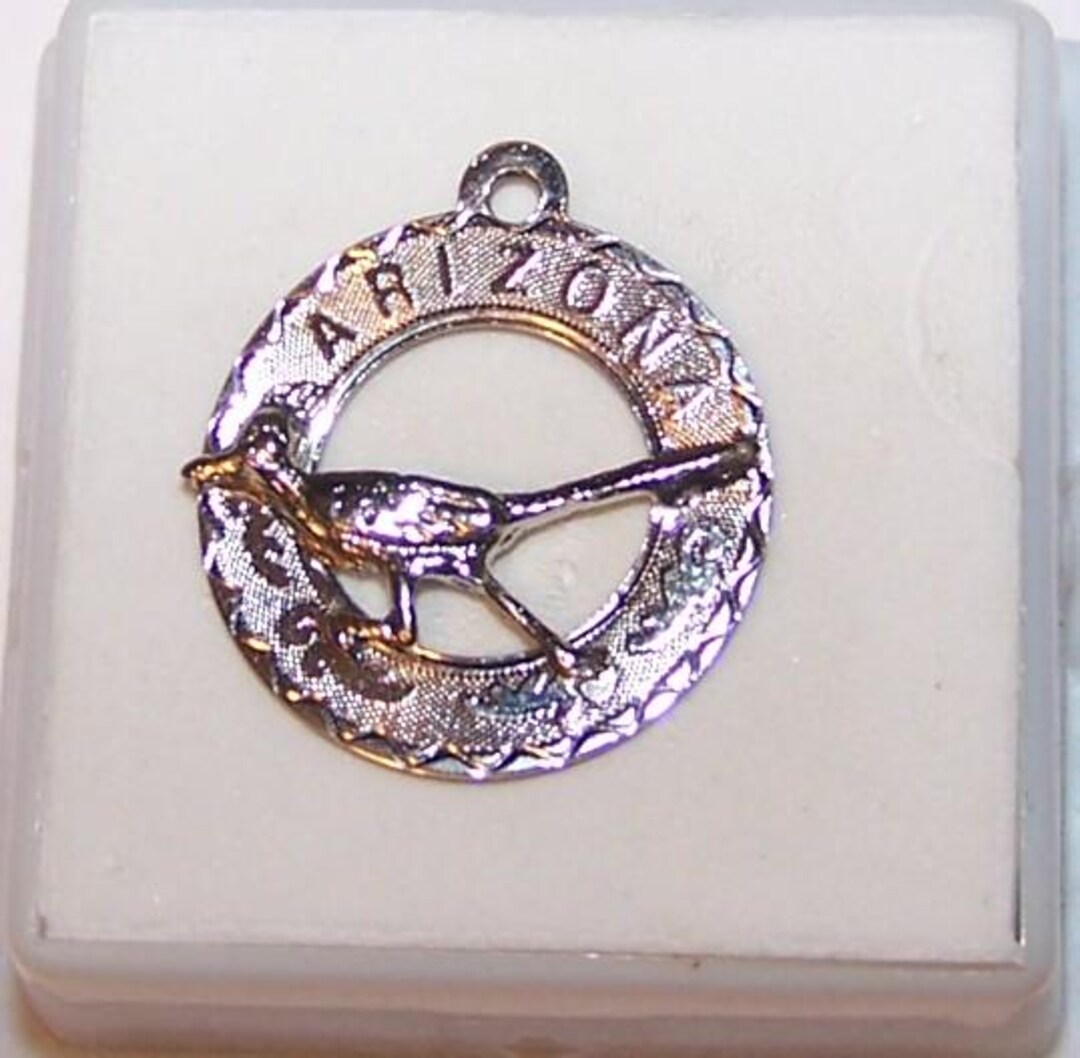 ARIZONA ROAD RUNNER Charm --vintage 3 D -- Marked "sterling Crea" - Etsy