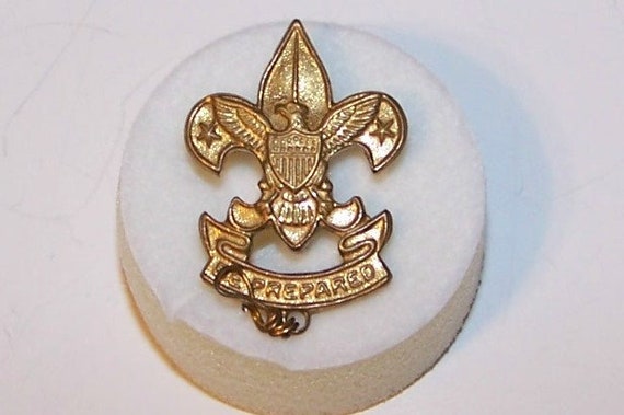 BSA EAGLE PIN ---Vintage Pat 1911 -Fluer Di Li--Gold … - Gem