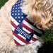 Personalized Dog Bandana USA Dog Bandana Military Dog Bandana Dog ...