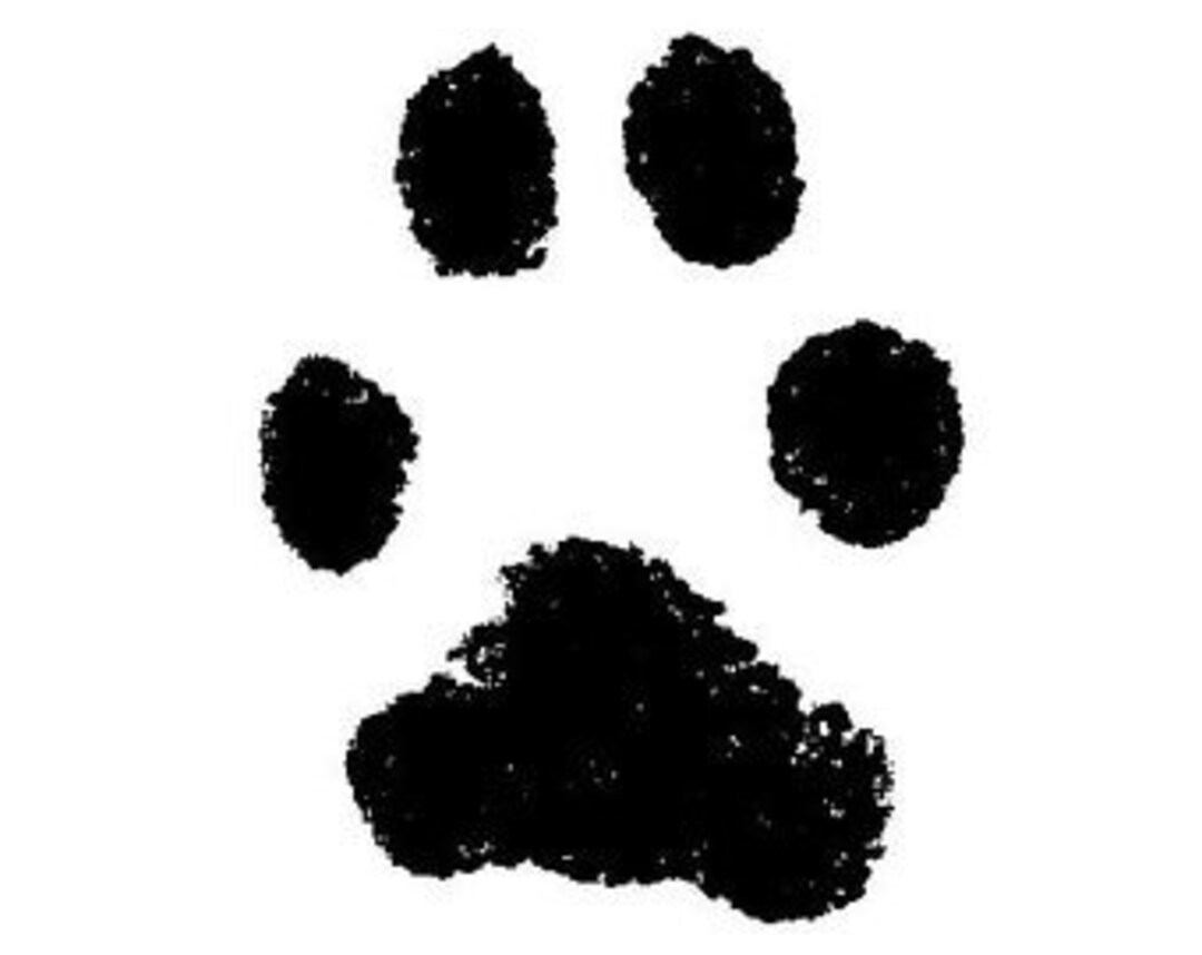 Custom Paw Print Stamp (2" Self-inking) - Etsy