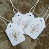 Rustic Hang Tags Botany Natural Life Stem and Leaf Gift Tag Craft ...