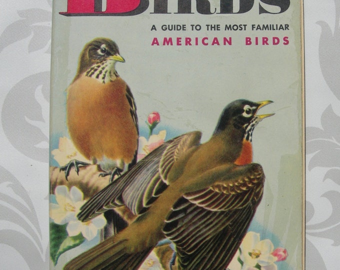 Vintage Woodland Nature Guide Book A Golden Nature Book 125 in Full ...