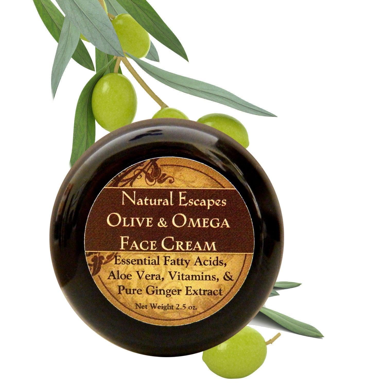 Moisturizing Face Cream, Organic Face Cream, Natural Face Cream, Anti ...