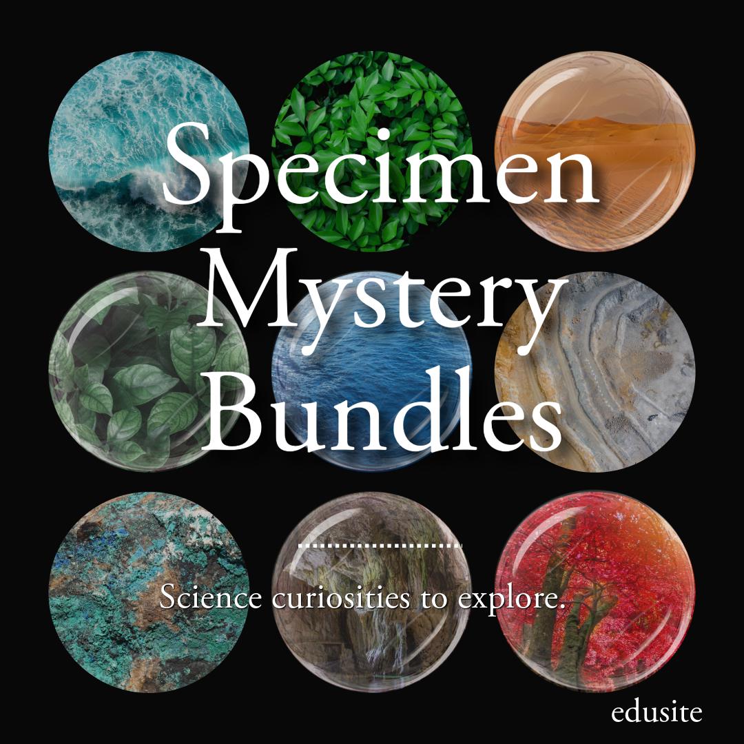 Plant Specimen Mystery Bundle of Handpicked Science Materials - Finds ...
