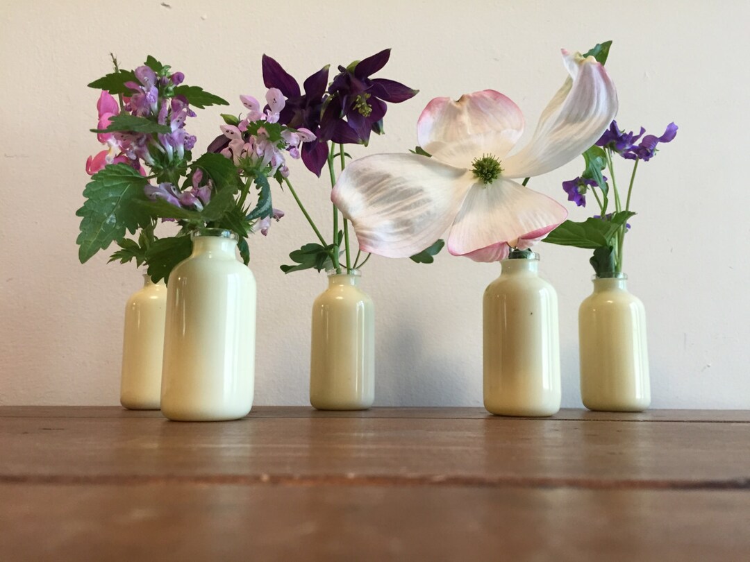 5 Coated Vases Rubber Coated Glass Jars Golden Cream Group for Low ...