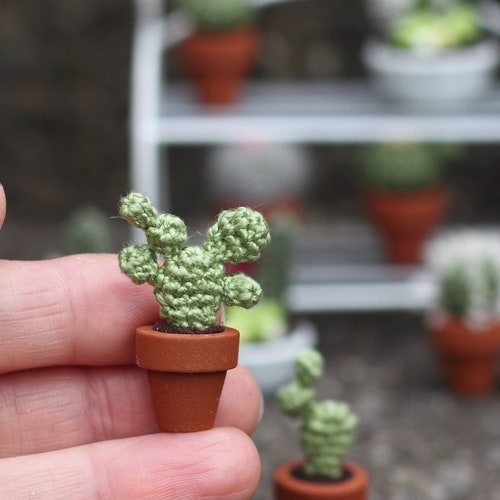 Opuntia Cactus Miniature Crochet Potted Plant Fake Cacti - Etsy
