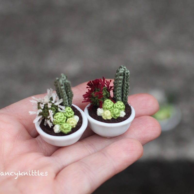 Miniature Plants - Etsy