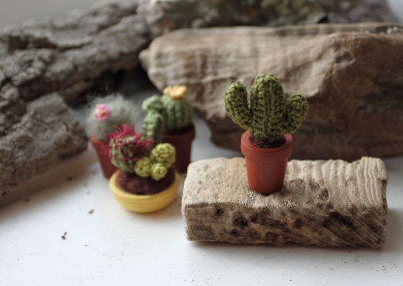 Cactus plant crocheted miniature. Potted plant. Green crochet | Etsy
