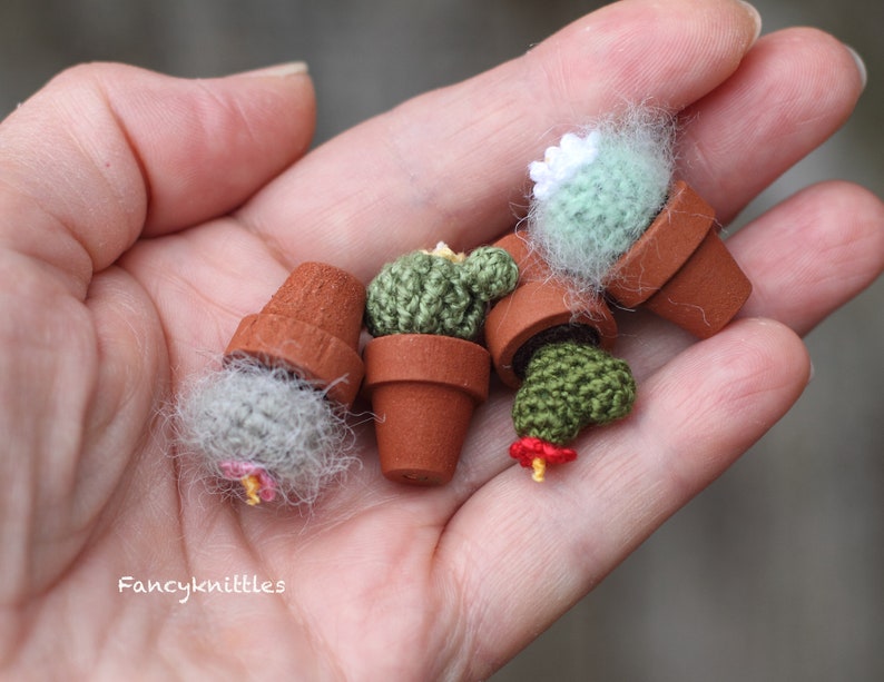 Cactus Heart Mimiature Crochet Plant in Wooden Pot, Collectable ...