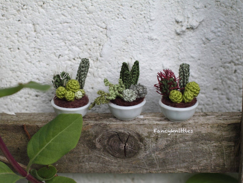 Miniature Crochet Succulent Composition Dollhouse Plants Arrangement ...