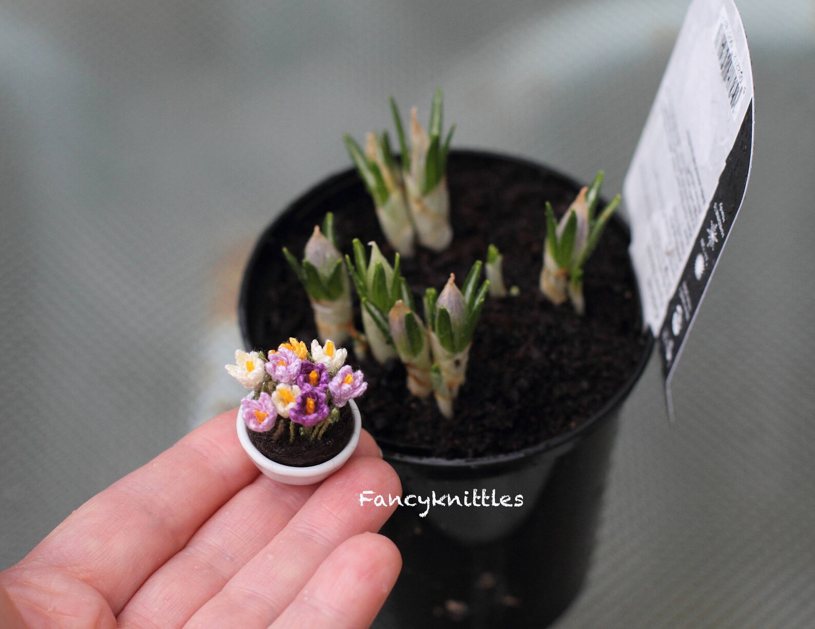 Crocus Composition in the Ceramic Bowl, Crochet Art Miniature Dollhouse ...