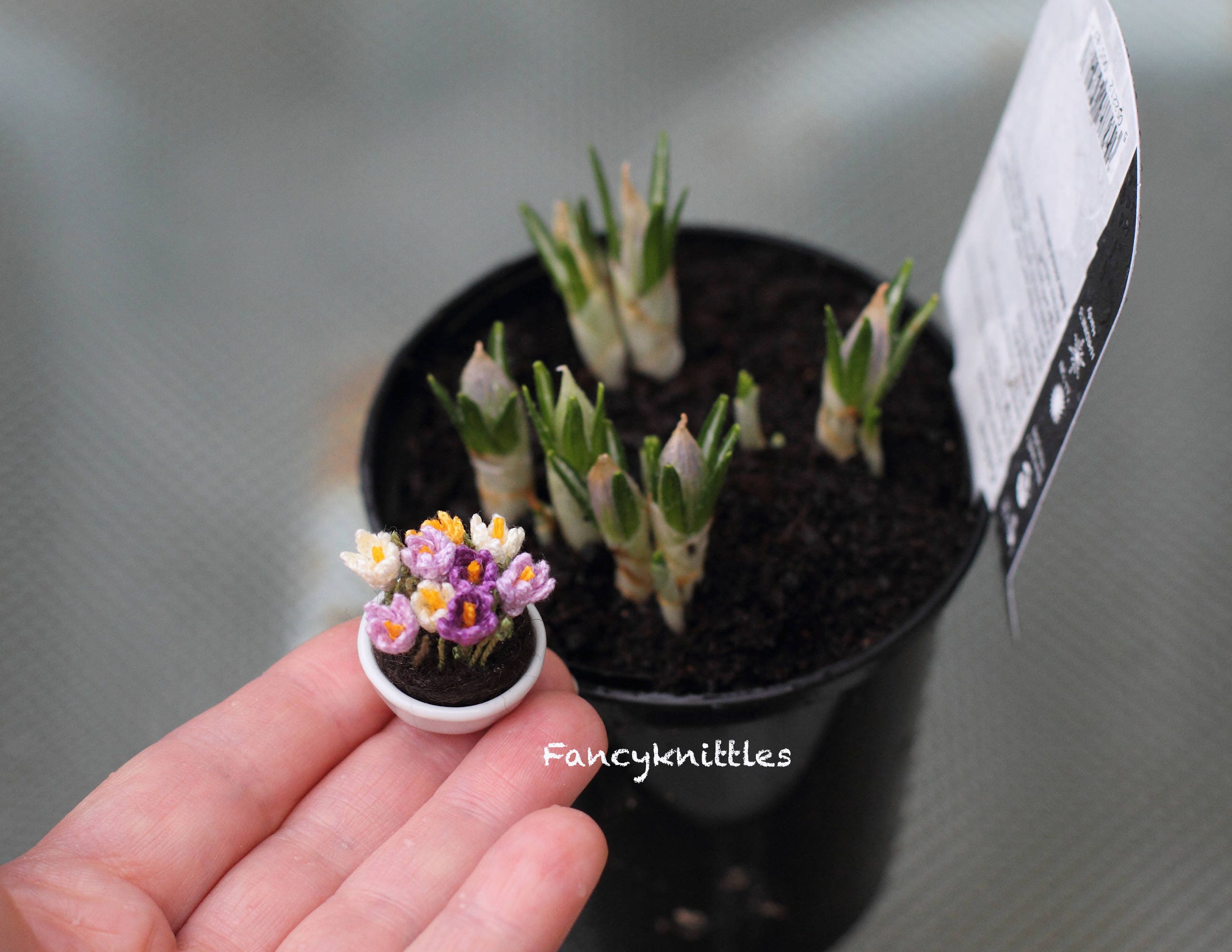 Crocus Composition in the Ceramic Bowl Crochet Art Miniature | Etsy