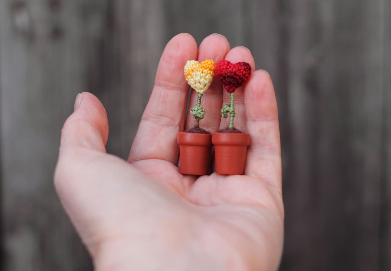 Miniature flowers hearts in the pots Set of five red green | Etsy