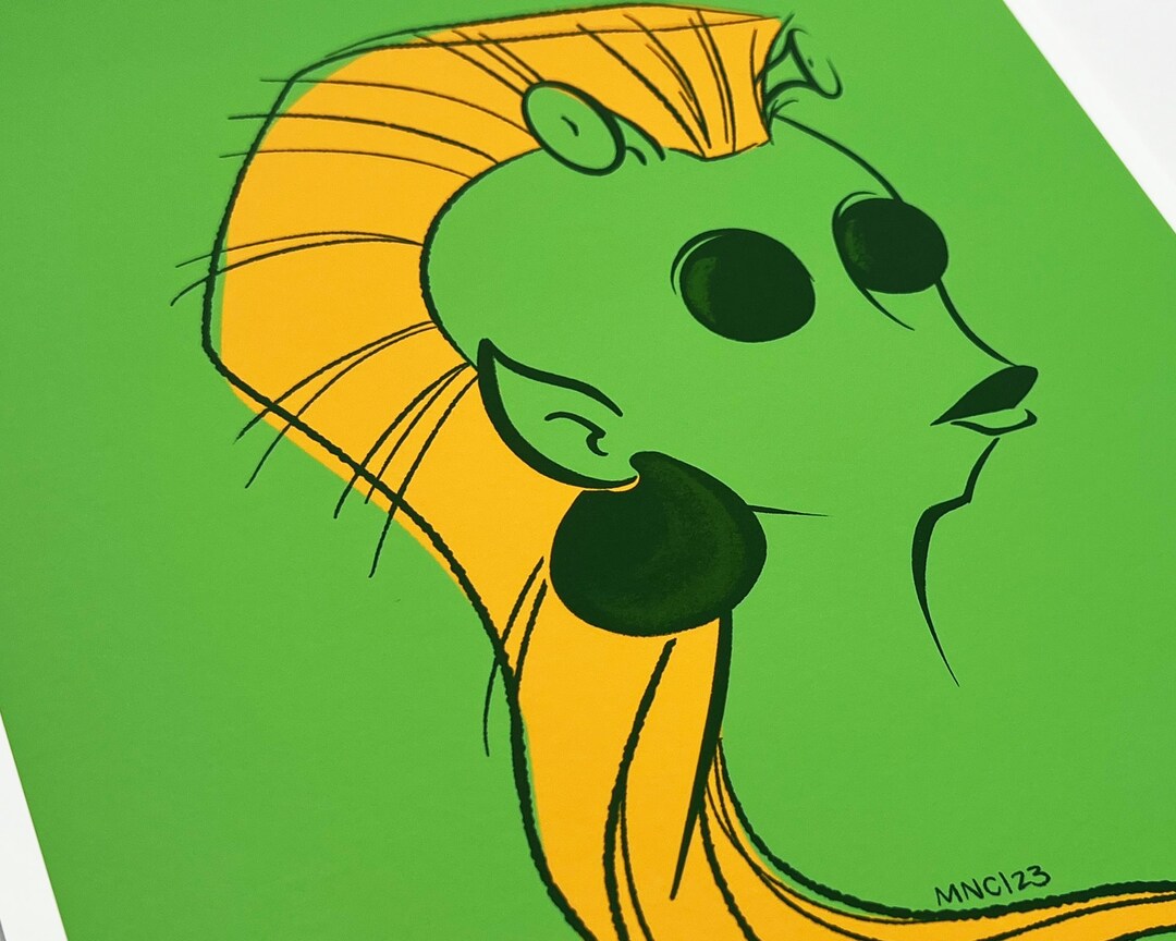 Greeata Frauen aus Star Wars 8 x 10,5 Premium Druck - Etsy.de