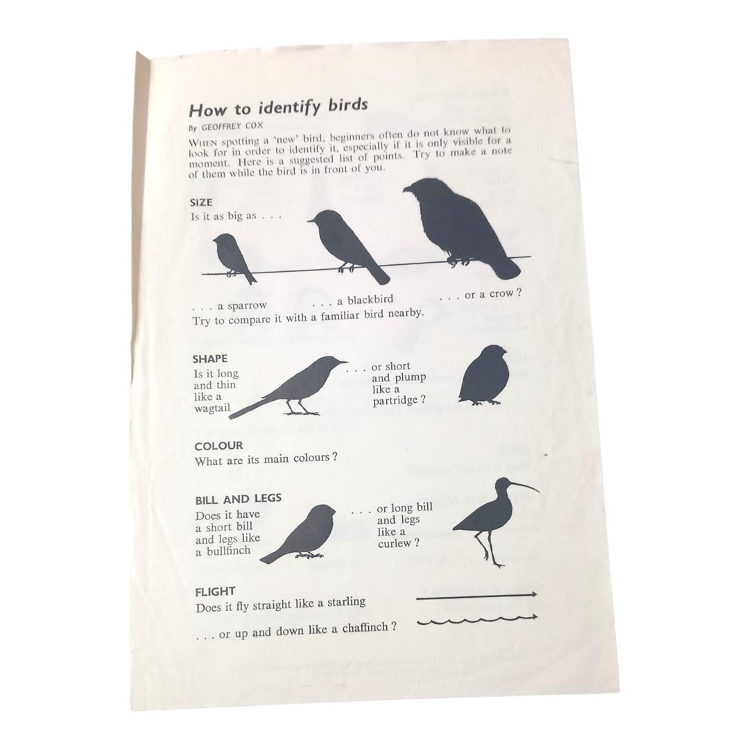 Vintage RSPB Bird Identification Leaflet C1970s – Young Ornithologists ...