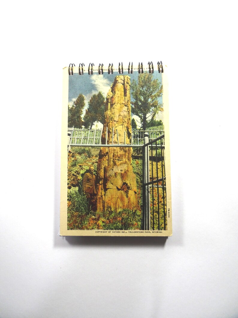 1 Antique 1930's Postcard #8 Spiral Notebook 3.5"x 5.5" Lined Recycled ...