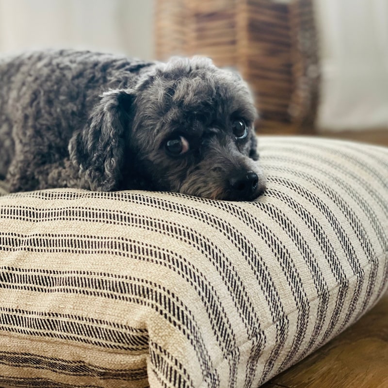 Dog Bed Cover - Etsy