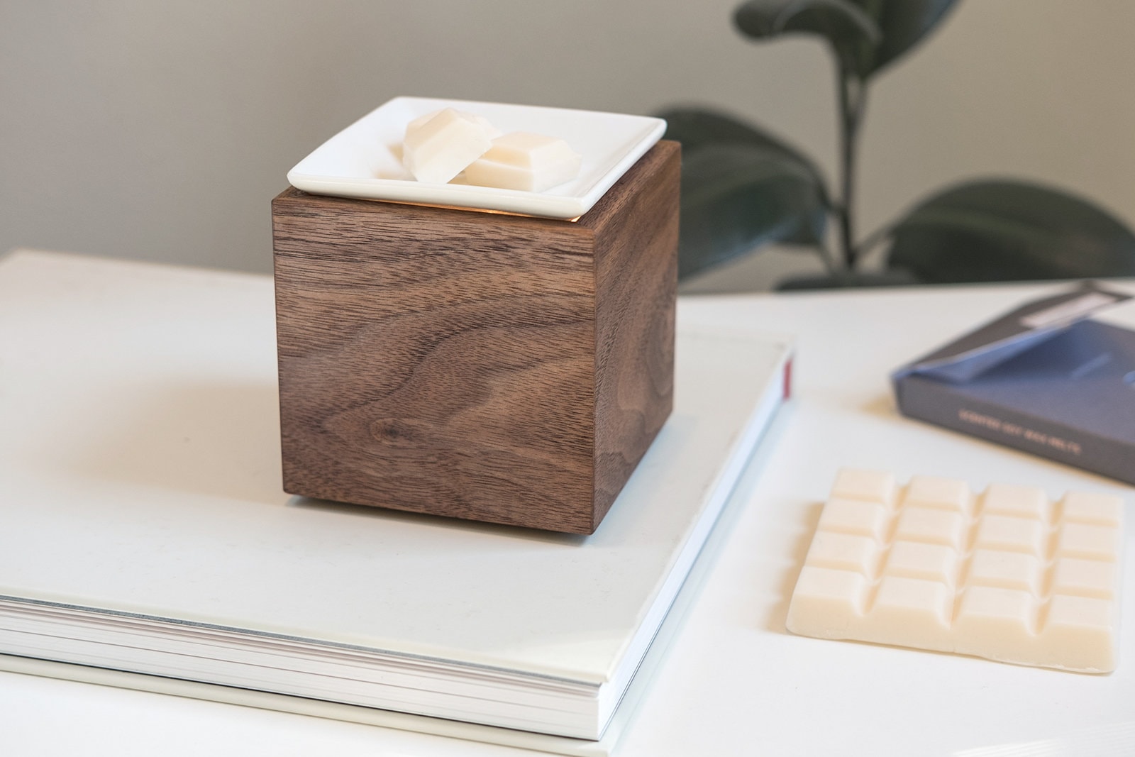 Norwegian Woods: Soy Wax Melts / Sage Oakmoss Amber Musk - Etsy