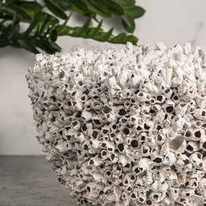 Barnacle Encrusted 'shipwreck' Bowl {X} (free Shipping) - Etsy