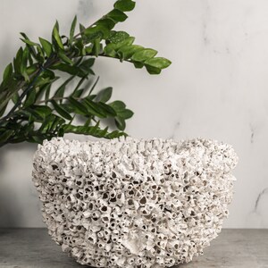 Barnacle Encrusted 'shipwreck' Bowl {X} (free Shipping) - Etsy