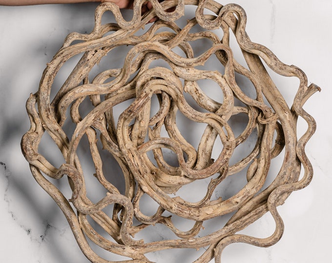 Tangled Thai Vine Swirly Wall Art free Shipping - Etsy