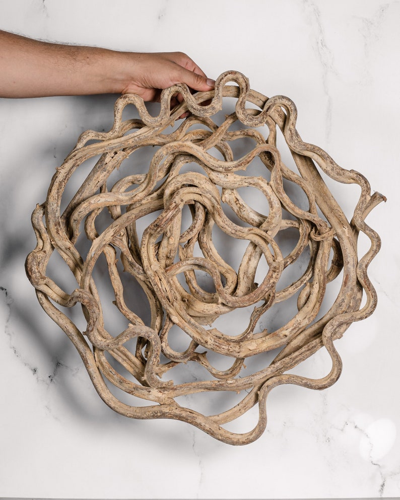 Tangled Thai Vine Swirly Wall Art free Shipping - Etsy