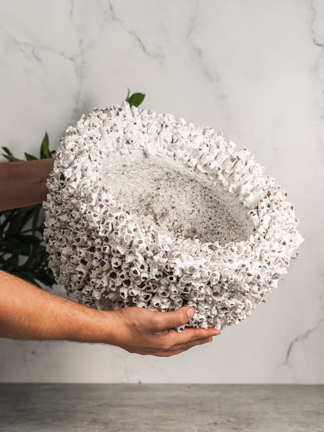 Barnacle Encrusted 'shipwreck' Bowl {X} (free Shipping) - Etsy