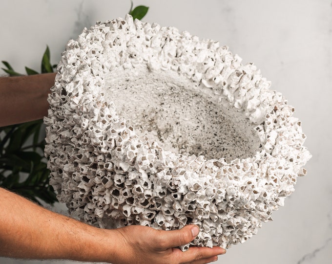 Barnacle Encrusted 'shipwreck' Bowl {X} (free Shipping) - Etsy