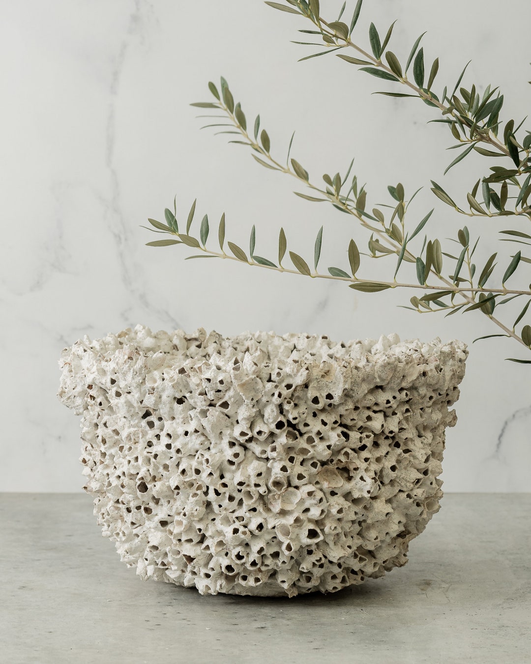 Barnacle Encrusted ‘ship Wreck’ Bowl (free Shipping) - Etsy