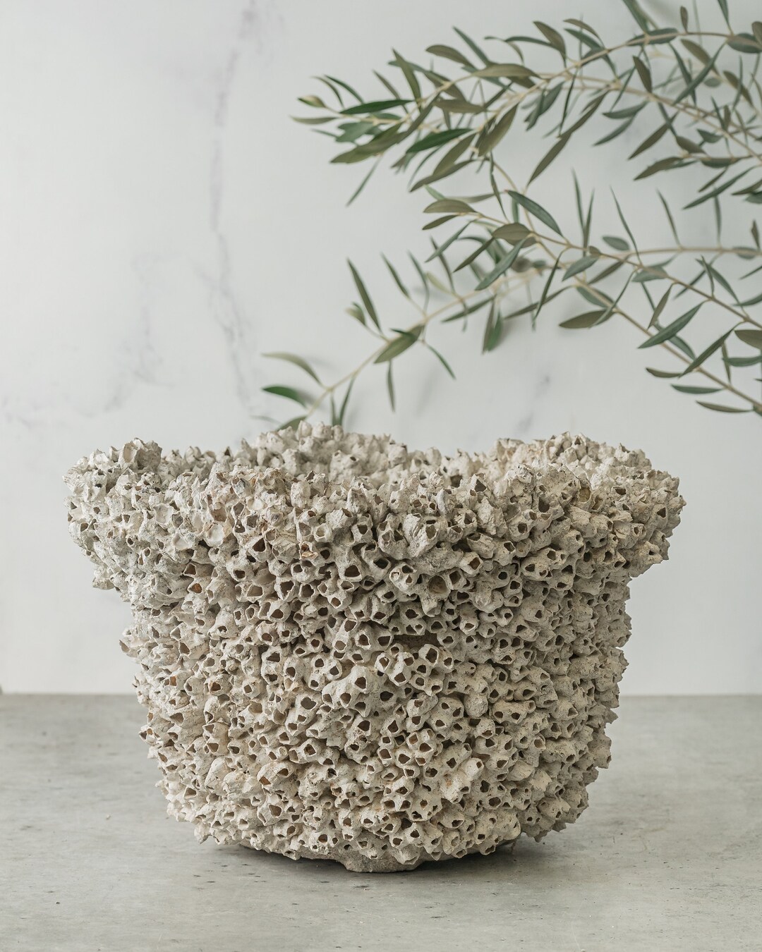 Barnacle Encrusted 'shipwreck' Bowl X free Shipping - Etsy