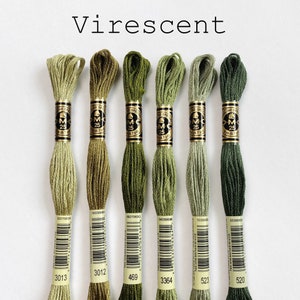 Viridescent DMC Thread Palette, 6 Skeins Cotton Embroidery Floss, 6 Ply ...