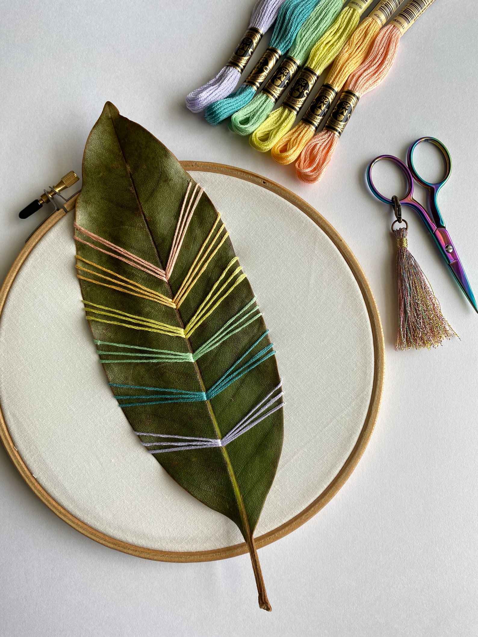 Electric Sunrise DMC Thread Palette 6 Skeins Cotton - Etsy