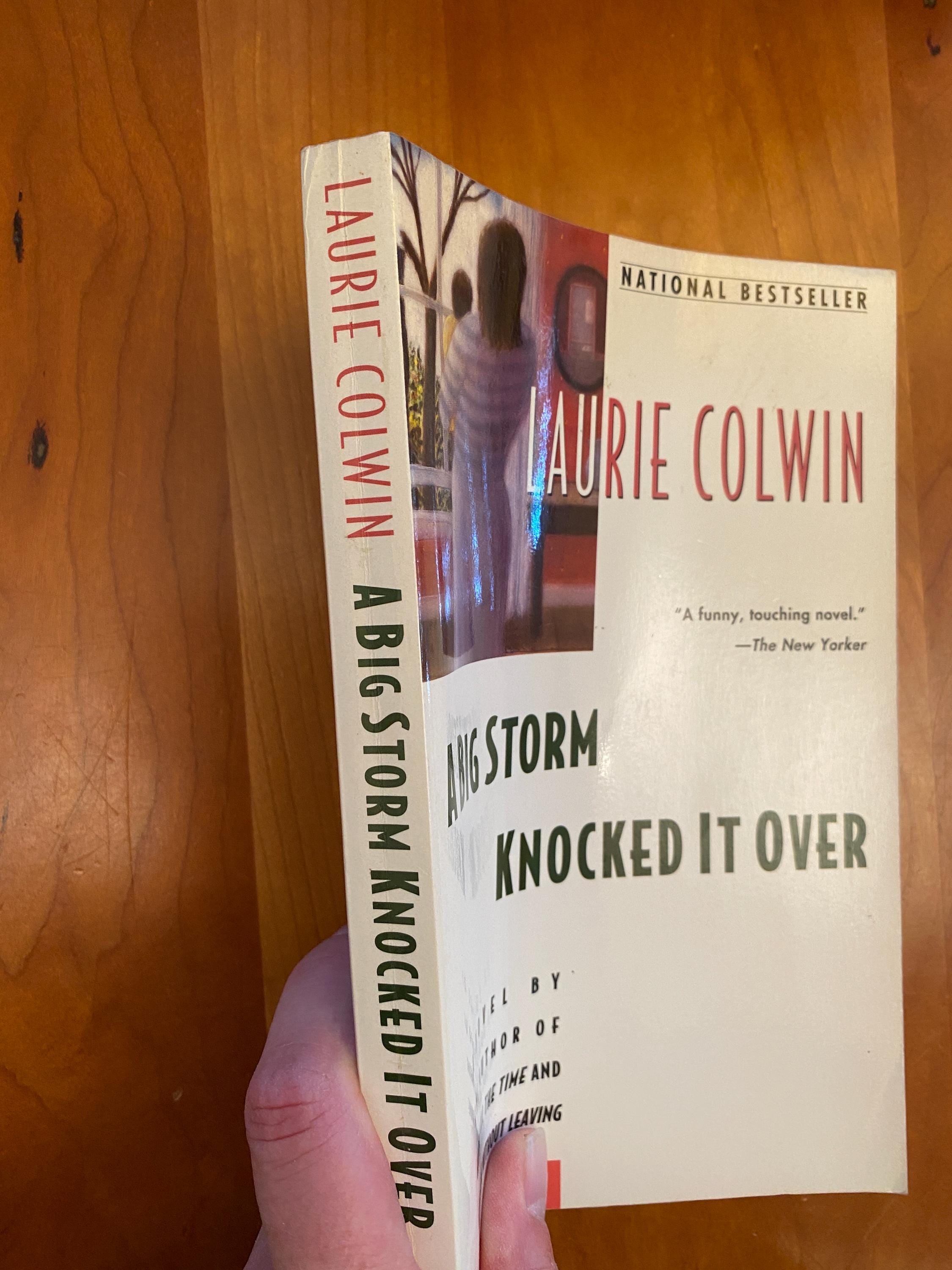 A Big Storm Knocked It Over by Laurie Colwin - 1993 Harper Perennial ...