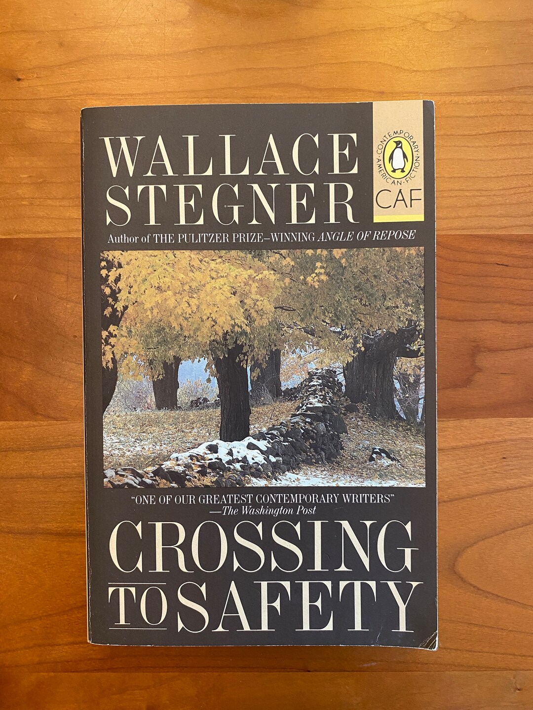 Crossing to Safety by Wallace Stegner - Penguin Paperback 1988 - Etsy