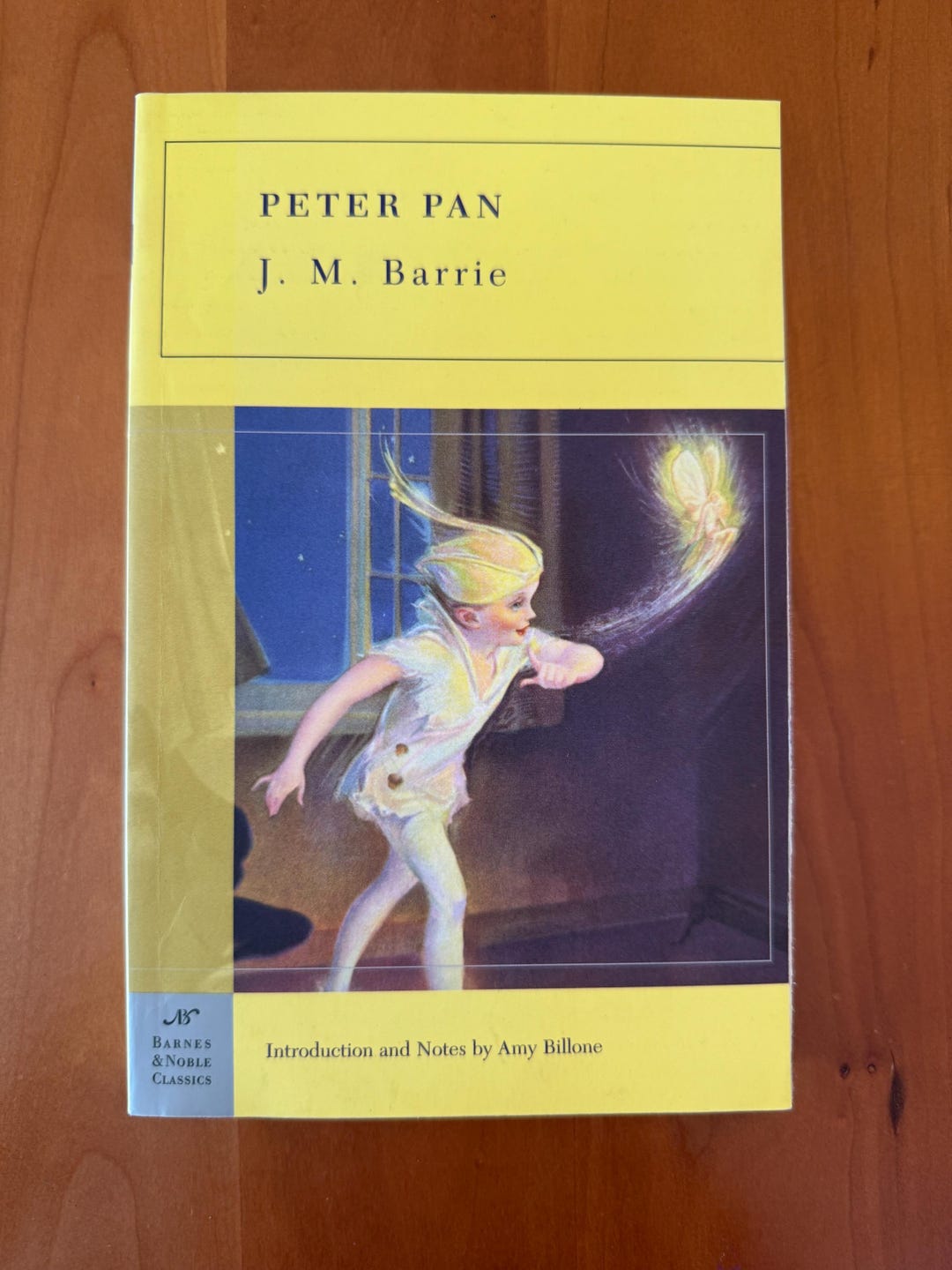 Peter Pan by J.M. Barrie - Barnes and Noble Classics 2005 - Etsy