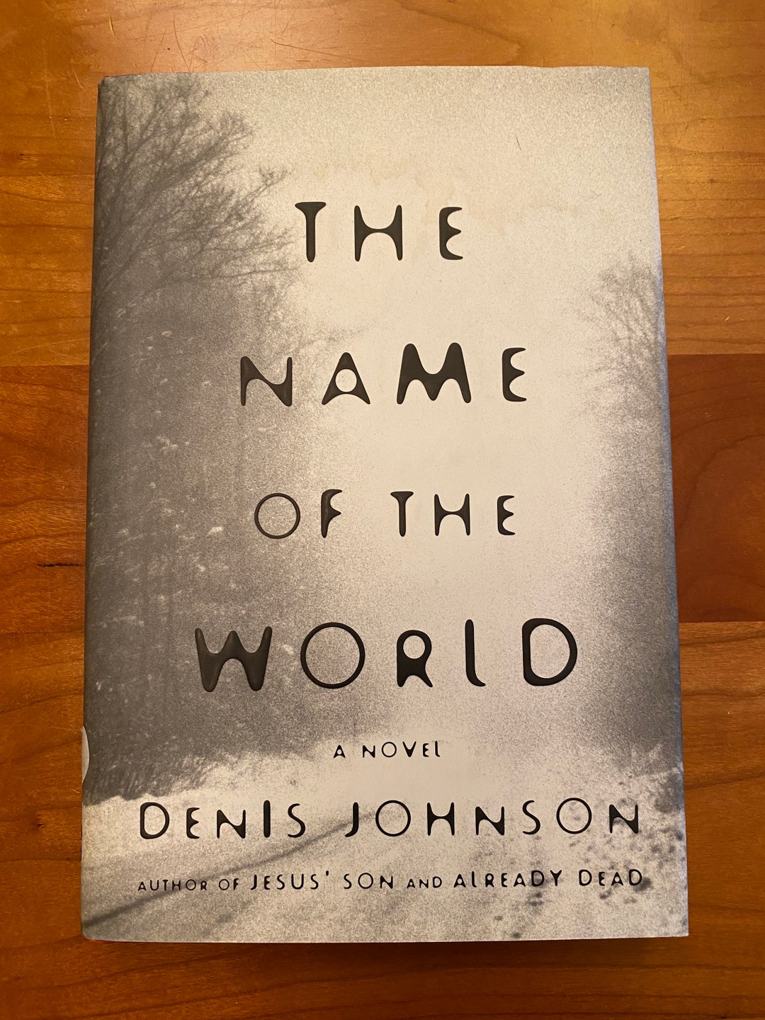 The Name of the World by Denis Johnson - 2000 First Edition First ...