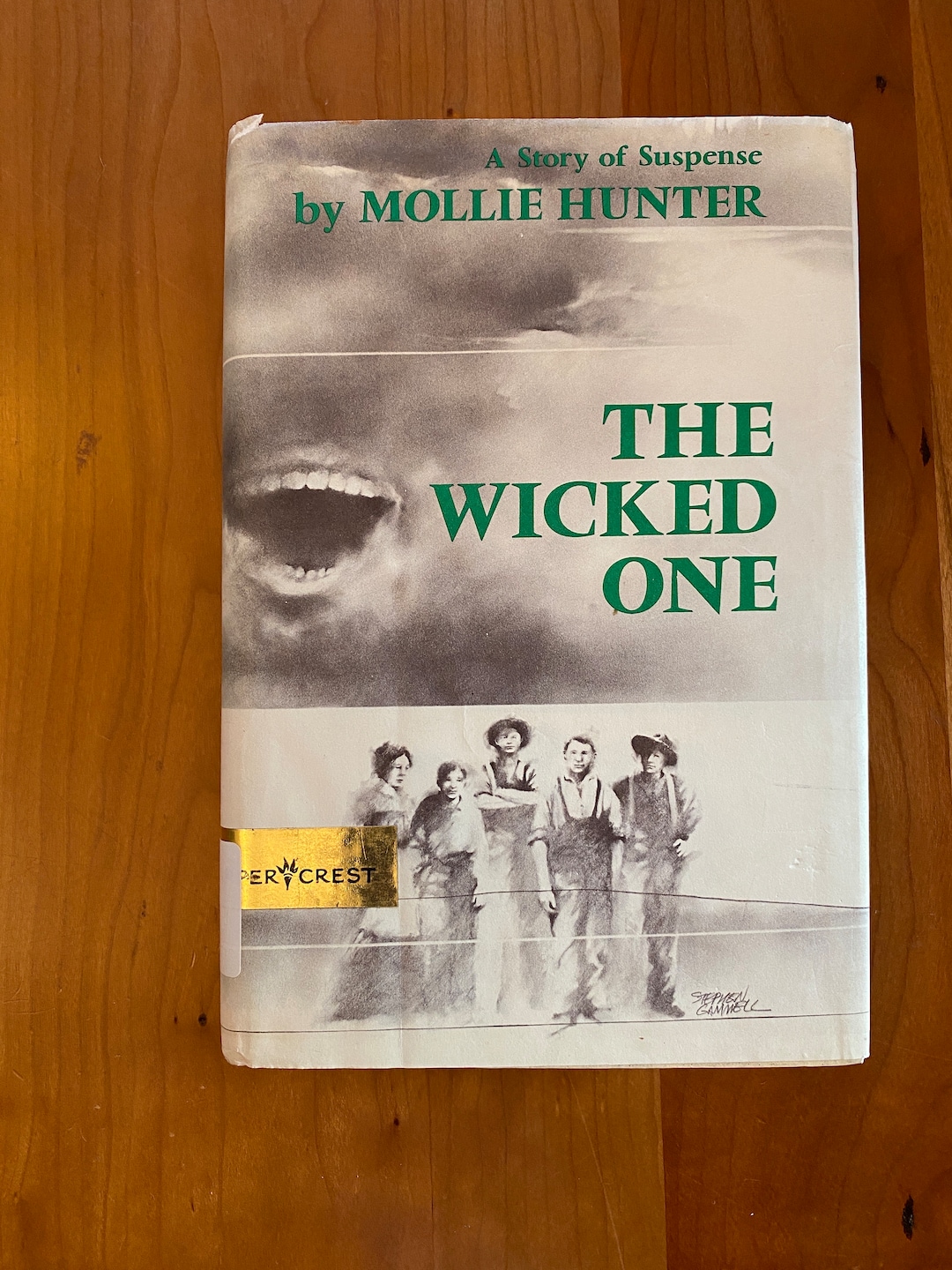 The Wicked One by Mollie Hunter - 1977 Harper Crest - Ex-library - Etsy